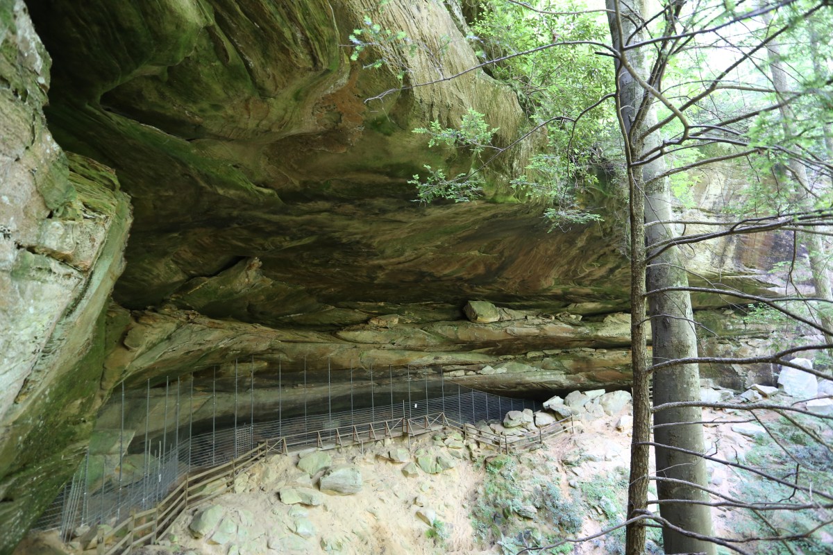 D. Boon Hut, Red River Gorge, KY – Romping Tramps